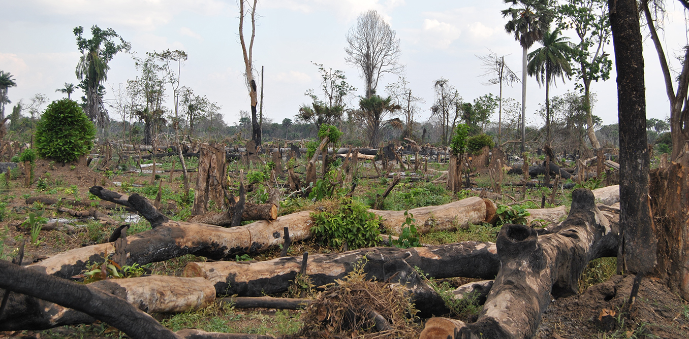 Sino Lanka - Solar Power for Business and Commercial Properties